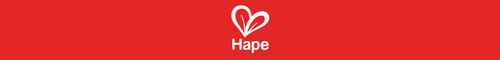 Shop Wooden Hape Toys & Activities | Online | Toyworld NZ