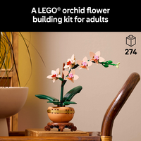 LEGO 10343 Botanicals Mini Orchid – Toyworld NZ