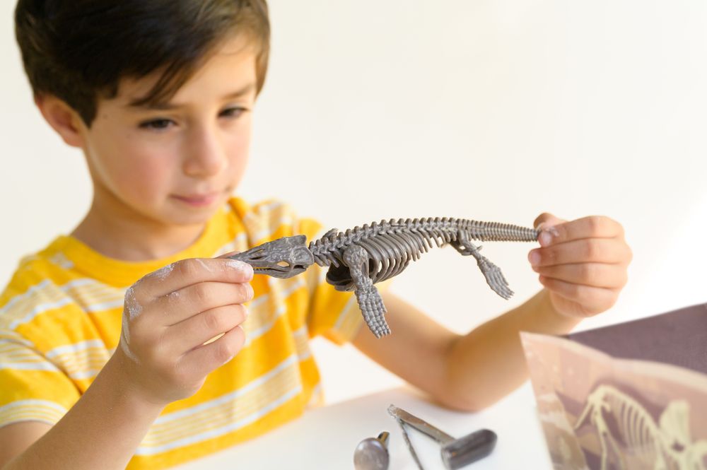 4M KidzLabs Dig A Mosasaurus Skeleton – Toyworld NZ