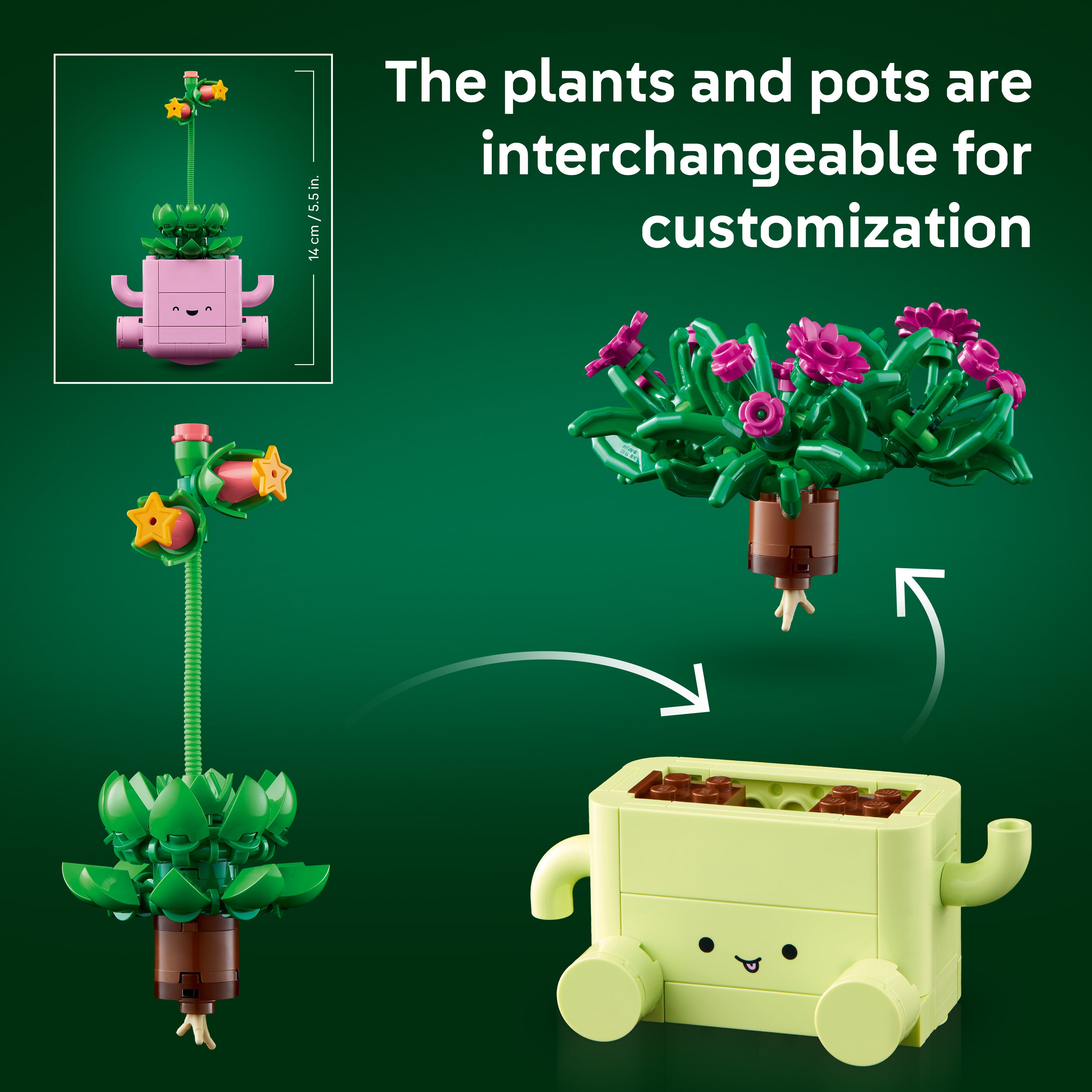 LEGO 11506 Botanicals Rocking Plants – Toyworld NZ