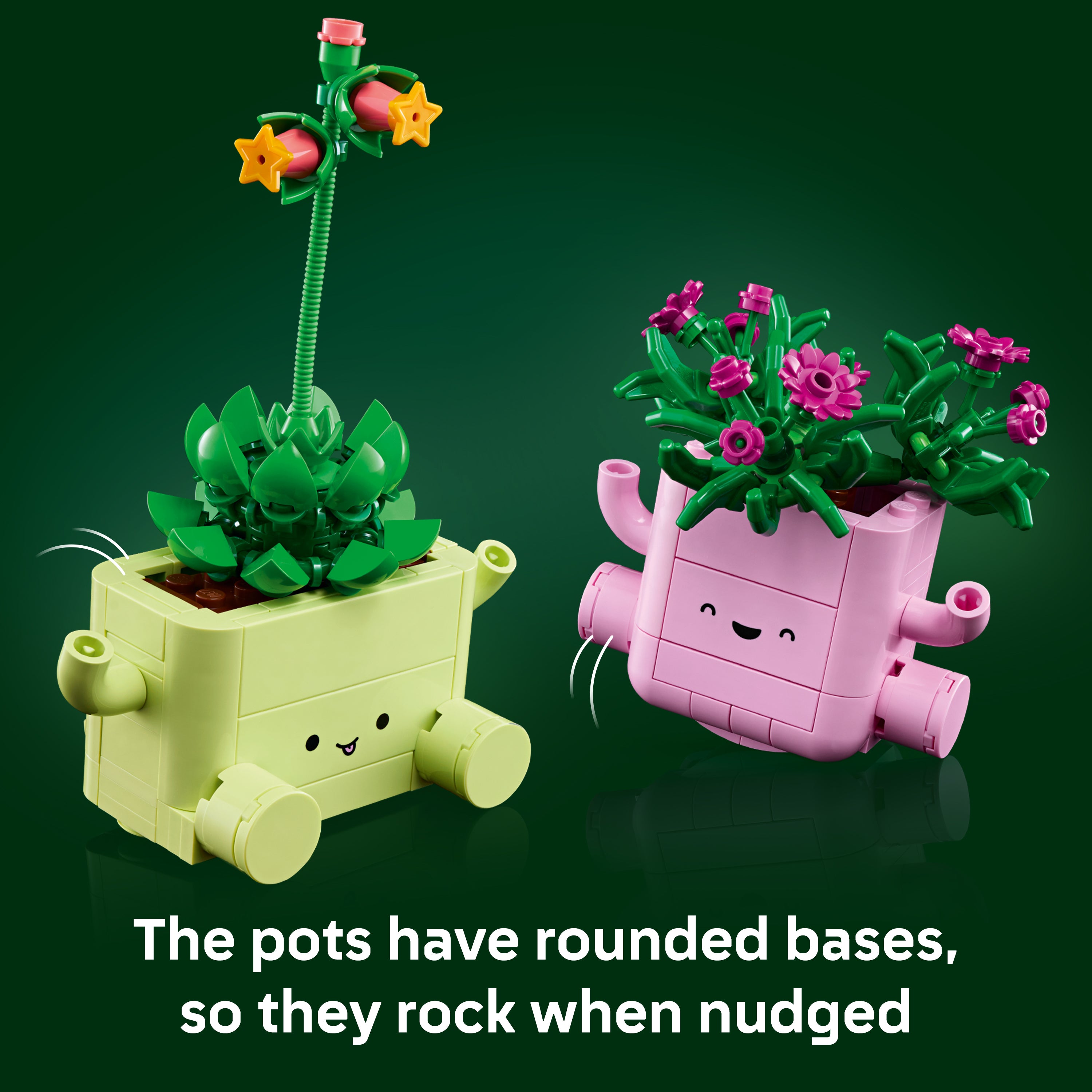 LEGO 11506 Botanicals Rocking Plants – Toyworld NZ