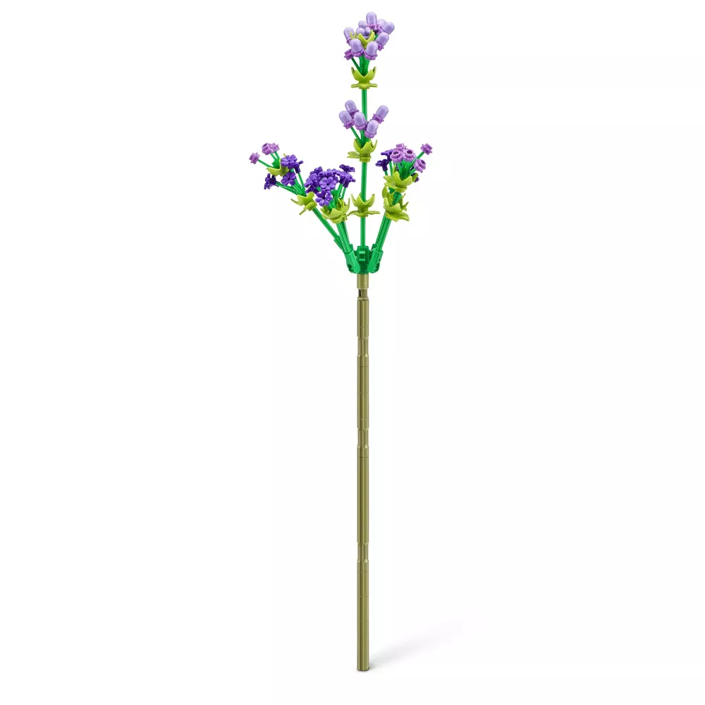 ZURU Max Premium Rose Collection Series 1 – Toyworld NZ