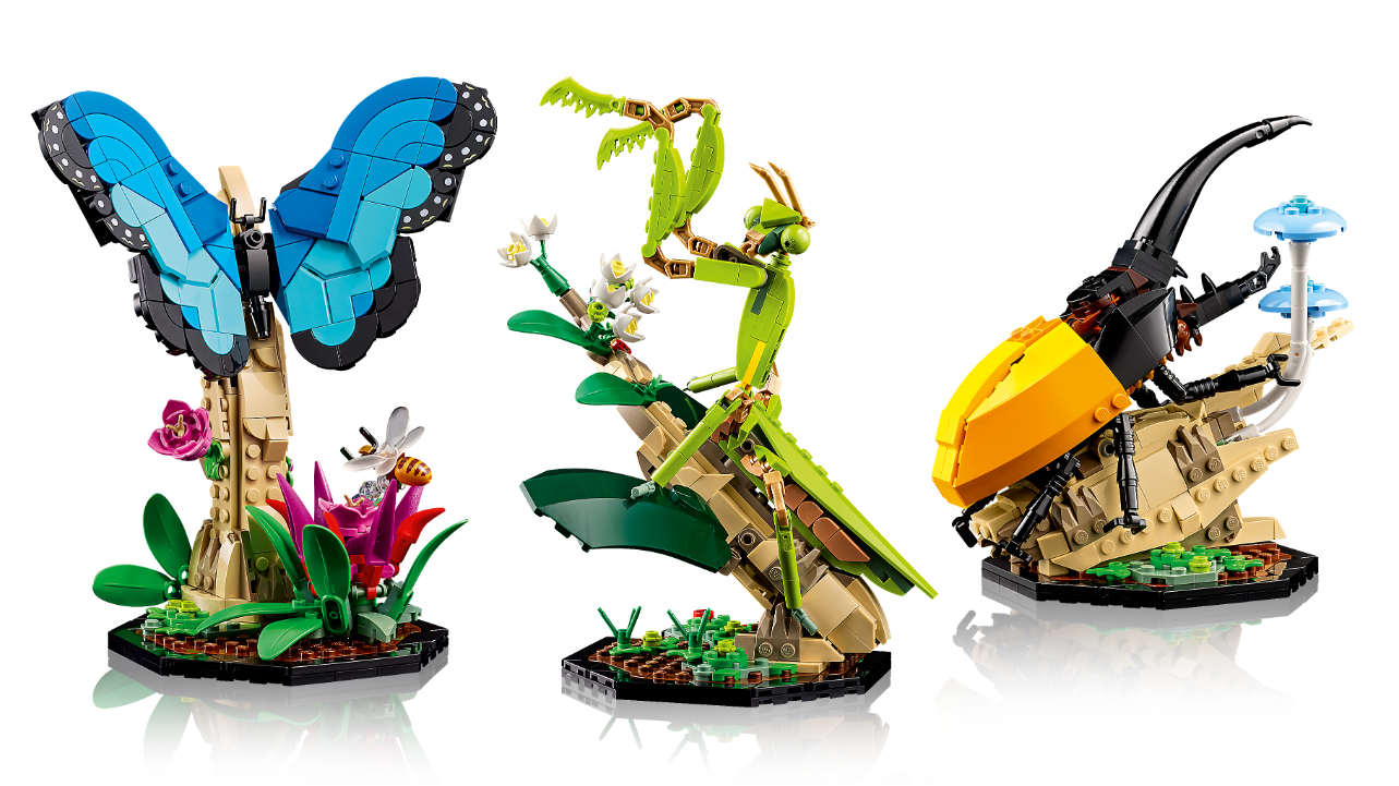 LEGO 21342 Ideas The Insect Collection – Toyworld NZ
