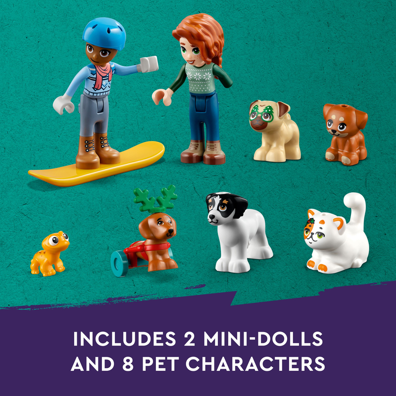 LEGO 41758 Friends Advent Calendar – Toyworld NZ