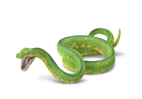 Collecta Green Tree Python Figurine L – Toyworld NZ