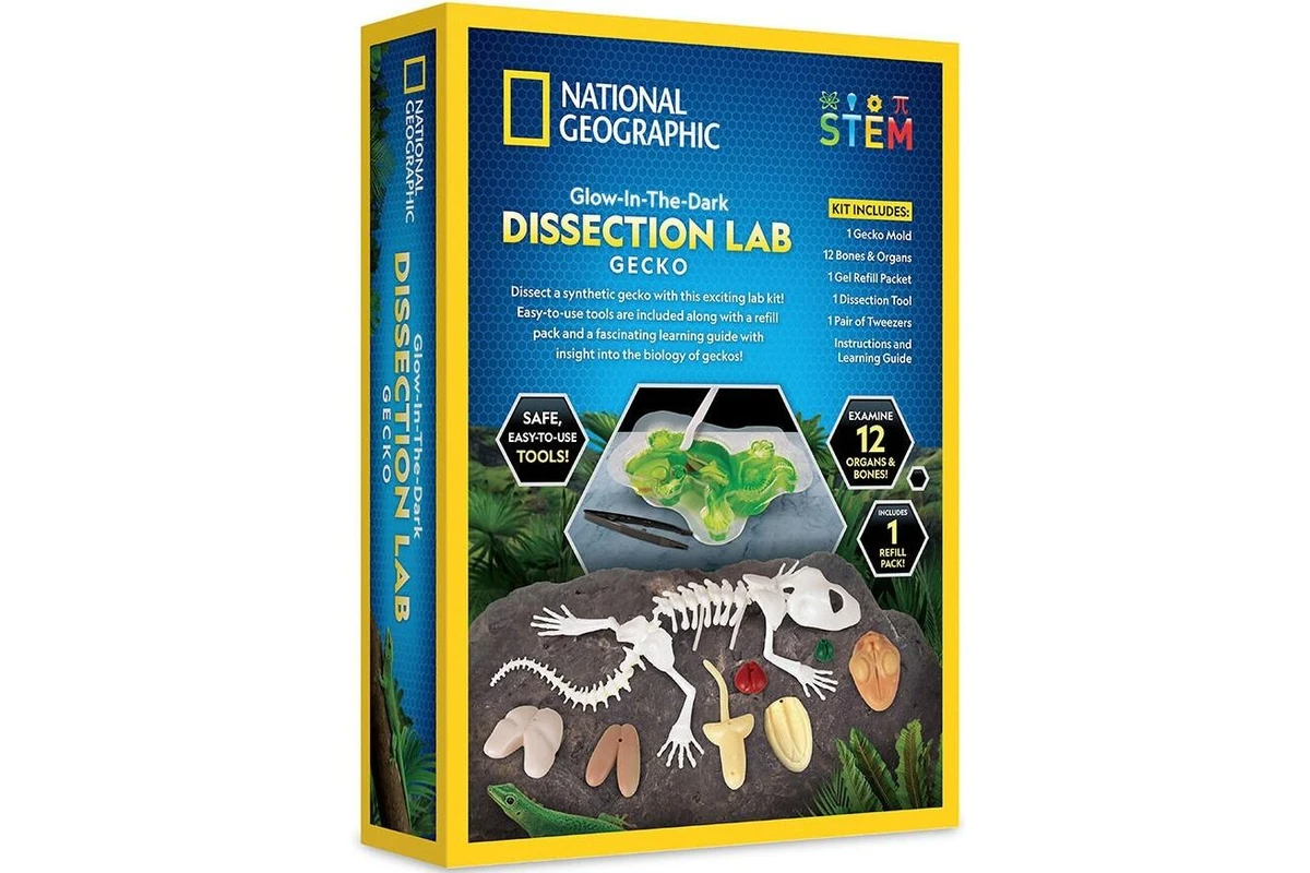 National Geographic Gecko Dissection Lab – Toyworld NZ