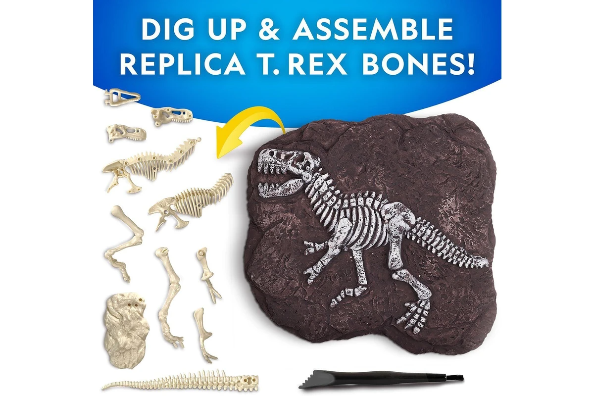 National Geographic - T-Rex Skeleton Dig Kit – Toyworld NZ