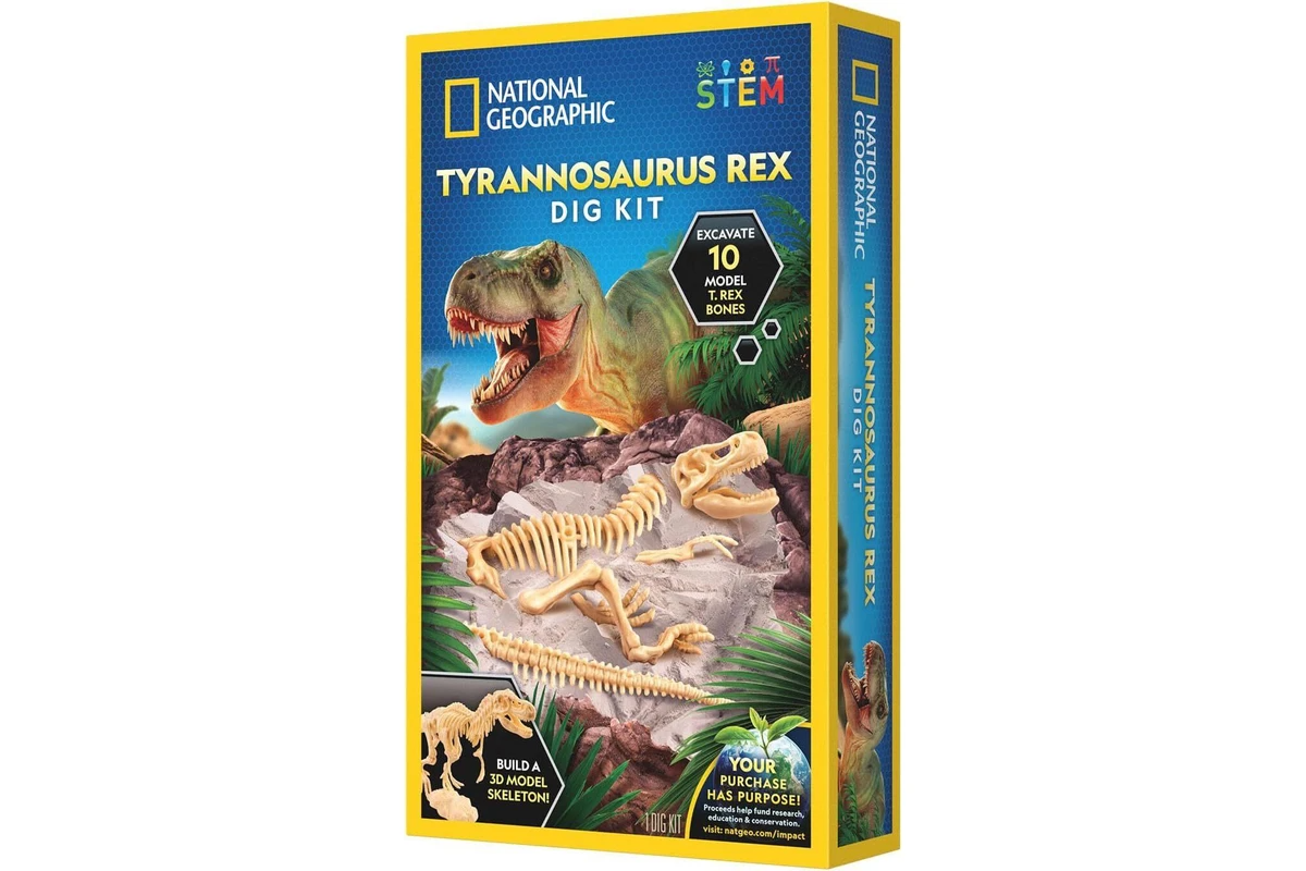 National Geographic - T-Rex Skeleton Dig Kit – Toyworld NZ