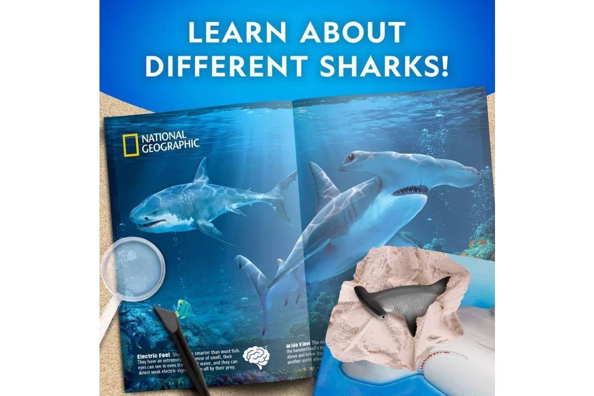 National Geographic Shark Tooth Dig Kit – Toyworld NZ