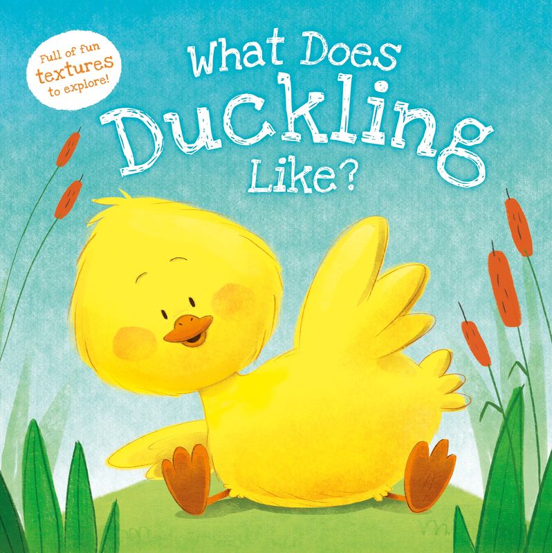 WHAT DOES DUCKLING LIKE? BOARD BOOK – Toyworld NZ