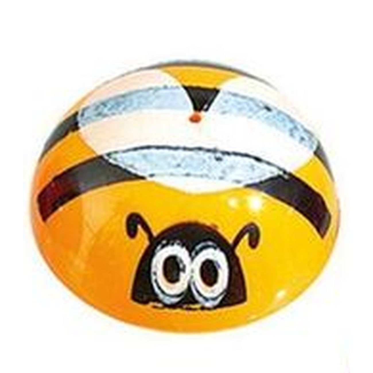 Bee Dome Popper (Assorted Styles) | Toyworld NZ