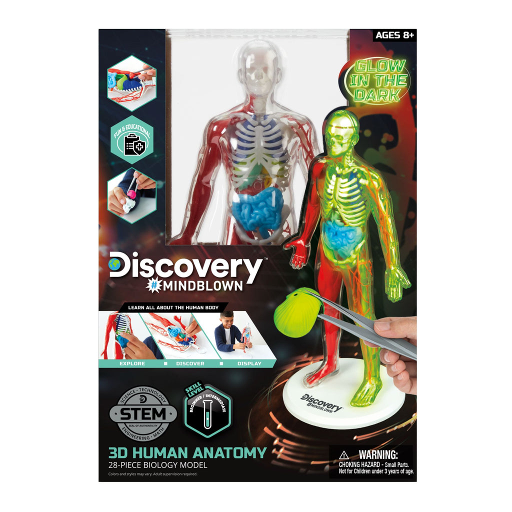 DISCOVERY MINDBLOWN 3D HUMAN ANATOMY KIT – Toyworld NZ
