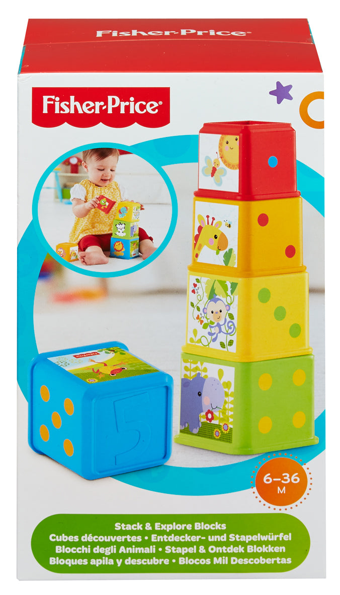 Fisher-Price Stack & Explore Blocks – Toyworld NZ