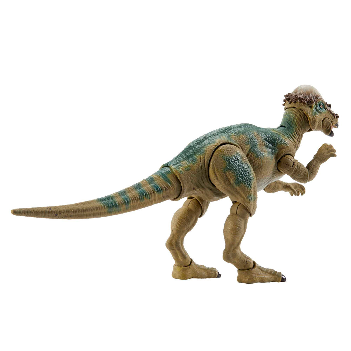 Jurassic World Hammond Collection Pachycephalosaurus Figure – Toyworld NZ