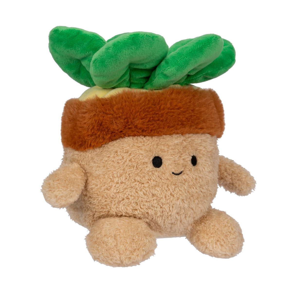 Bumbumz 7.5 Inch Plush Homebumz - Succulent Stu – Toyworld NZ