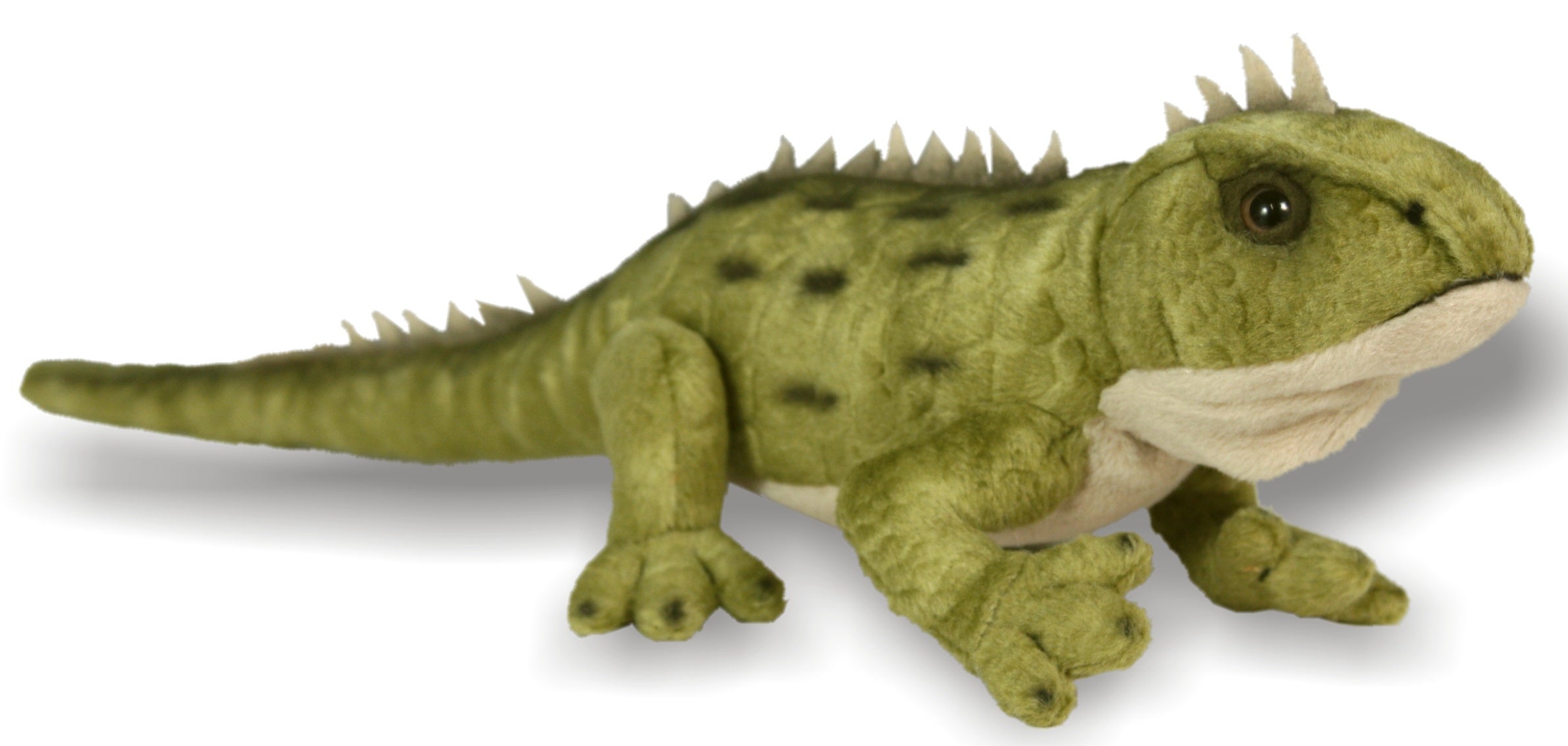 Tuatara With Sound 37cm – Toyworld NZ